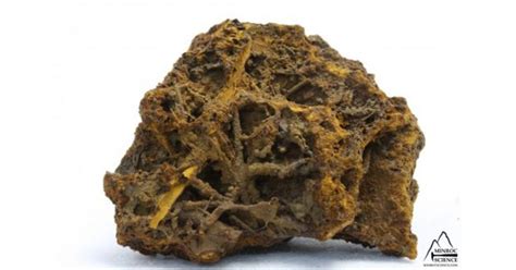Minerals Limonite Pack Of 10
