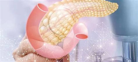 Fecal Pancreatic Elastase Testing Market Set To Experience Rapid Growth Projected To Reach Usd