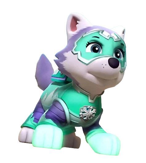 Everest Mighty Pups Paw Patrol Cartoon Paw Patrol Birthday Theme
