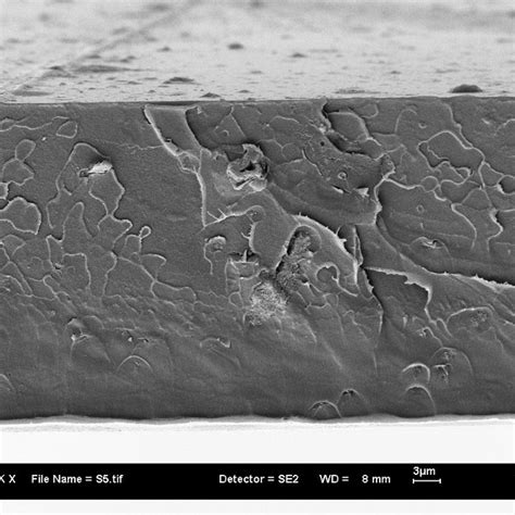 Sem Picture Of Asymmetric Polyethersulfone Membrane At The A Cross Download Scientific