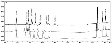 Preparation And Immune Enhancement Use Of Lucid Ganoderma Liquid Fermentation Extracellular