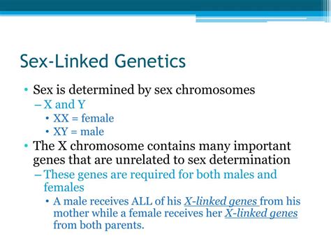 Ppt Basic Principles Of Heredity Powerpoint Presentation Free Download Id 2972823