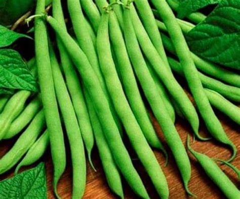 Super Seeds Dwarf French Bean Ibiza Disease Resistant Stringless Pods