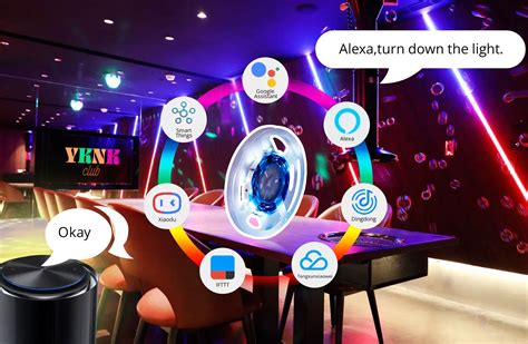 Smd5050 60led 10mm Rgbic Custom Led Strip Manufacturer From China