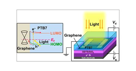 Highly Sensitive Graphenesemiconducting Polymer Hybrid Photodetectors With Millisecond Response