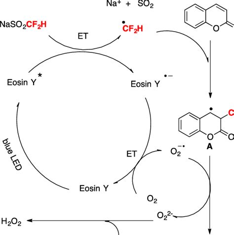 Scheme Proposed Reaction Mechanism Download Scientific Diagram