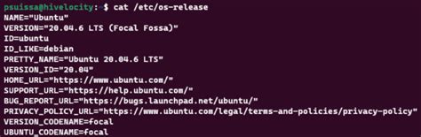 How To Check Linux Version OS And Kernel Hivelocity Hosting