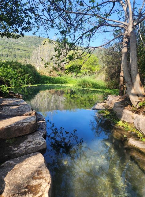 רשות תמונת היום מעיין אלרואי צילום מעיין ציון רשות נחל הקישון Facebook
