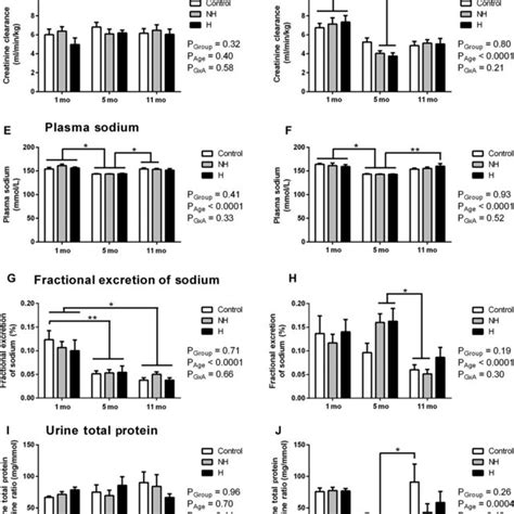 Renal Function Renal Function Parameters In Male And Female Rats At 1