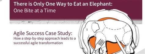 Mischa Delpy On Linkedin Agiletransformation Agilemindset Synpulse