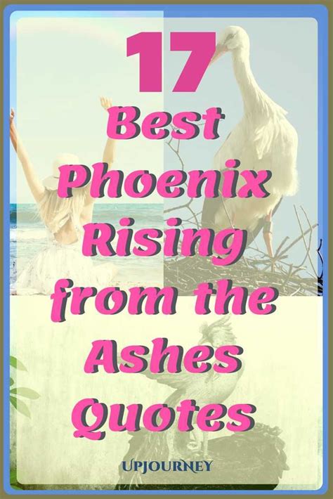 60 Phoenix Quotes To Encourage You To Rise From The Ashes Phoenix