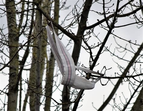 The Male Athlete On Tumblr During Billys Shower Someone Pilfered His Jockstrap From His