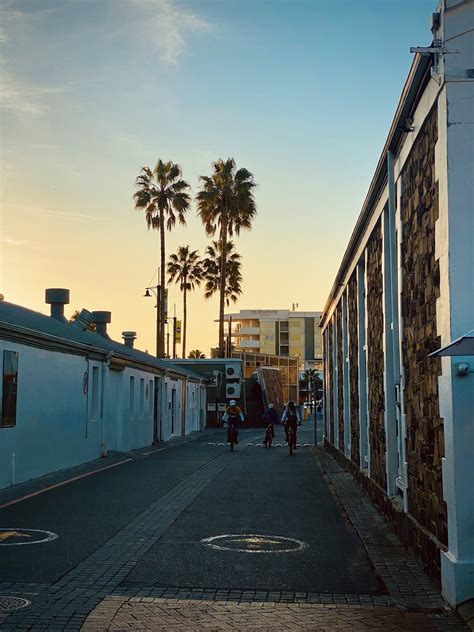 Urban Trees Album On Imgur