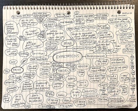 Expectations Explored In A Cluster Map — Alice Archer