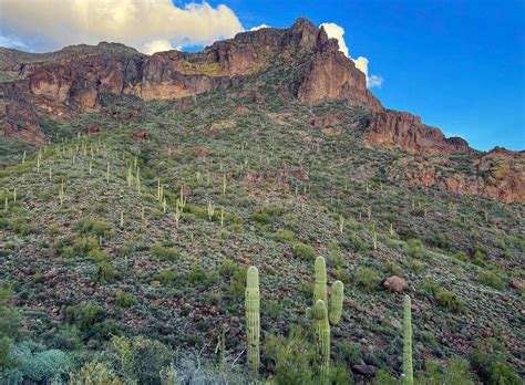 Hiking Hieroglyphic Trail In Arizona Routdoors