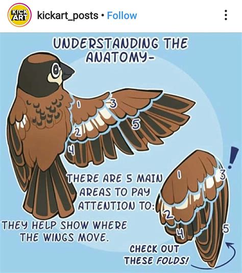 13 Wings Art Reference Photos Sketch Book Art Tutorials Drawing