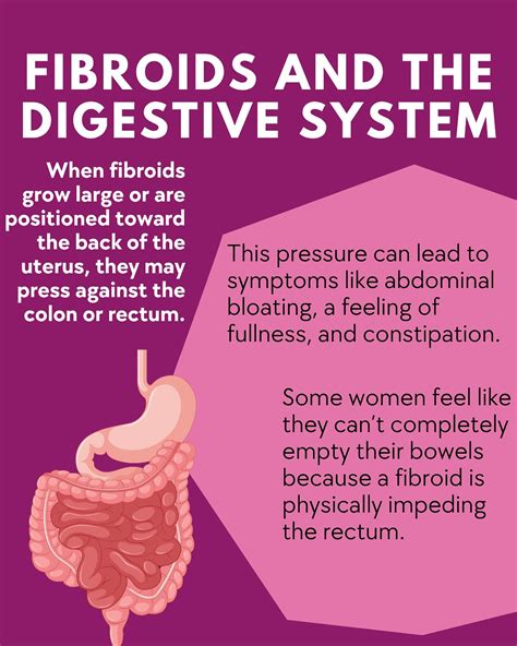 The Fibroid Foundation