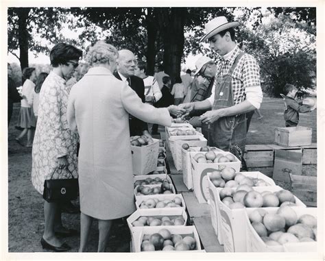Mill Neck Apple Festival Marks 69 Years Of Tradition And Community Impact