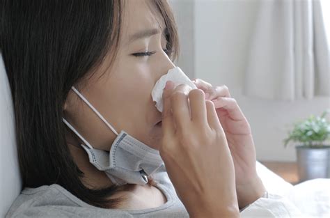 Pilek Pagi Hari Tanda Tanda Terserang Rhinitis Alergi Benarkah
