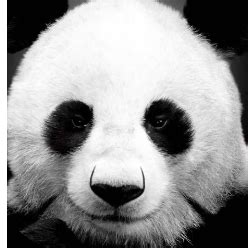 hyperf skeleton Hyperf x 中台基础骨架