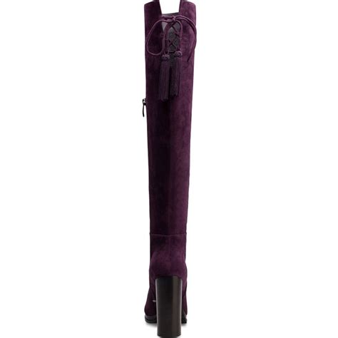 женские демисезонные ботфорты EKONIKA EN1305-24 eggplant-18Z