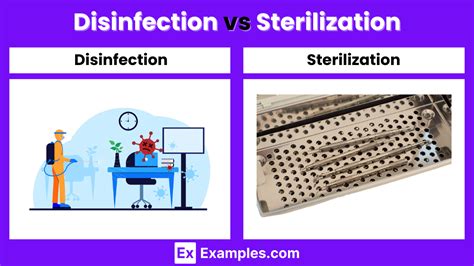 Disinfection Vs Sterilization Differences Explained With Examples