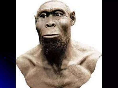 Teoria Evolutionista Pptx