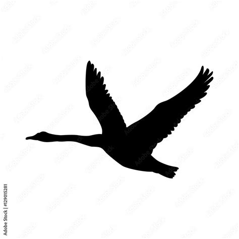 Swan Fly Vector Illustration Black Silhouette Stock Vector Adobe Stock