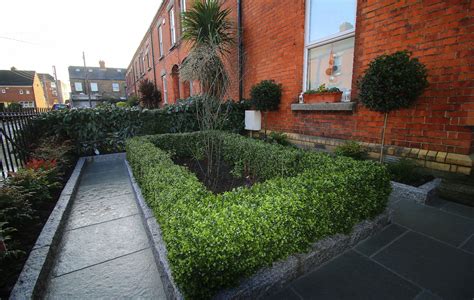 Artificial Box Hedging Artificial Boxwood Hedging Best Prices