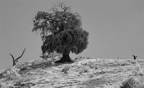 Fot Aleksander Wasyluk Festiwal