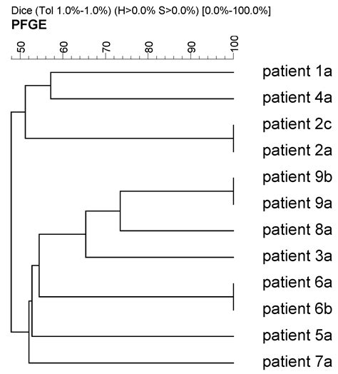Analysis Of Bacterial Pathogens Causing Complicating Hap In Patients