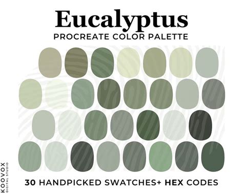 Eucalyptus Green Color Palette For Procreate Procreate Swatches Eucalyptus Color Palette Hex