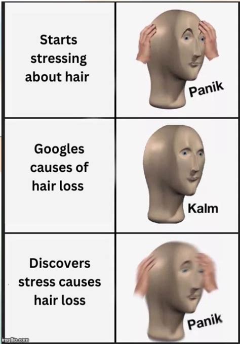 Funny Memes About Hair