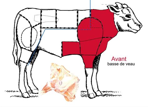 Le Veau Ses Caractéristiques Et Ses Découpes Cuisine Passion