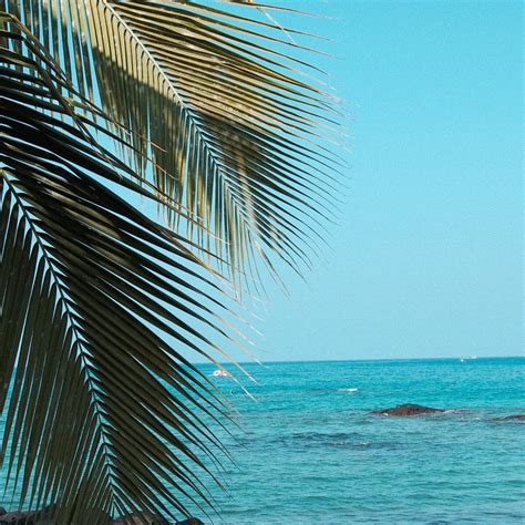 Debbie Ronning Photography