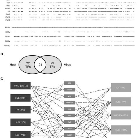 Summary Of Pairwise Sequence Comparison Download Table
