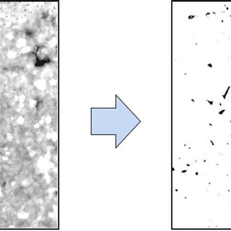 Example Of A Scanning Transmission Electron Microscopy High Angle