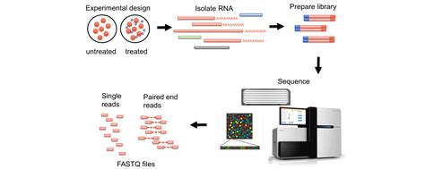 Rna Seq 海底捞里没有鱼