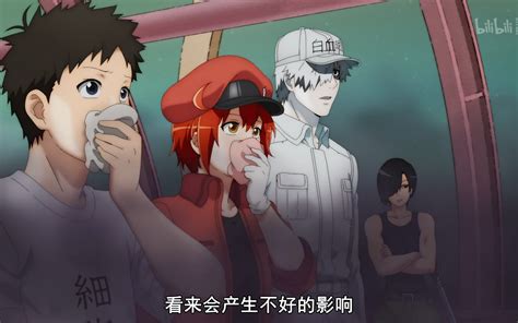 工作细胞 第二季06 精彩片段 番剧 全集 高清独家在线观看 Bilibili 哔哩哔哩