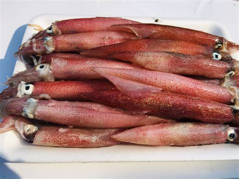 Mực Ghim Trứng 912a Hải Sản Mạnh Kiên