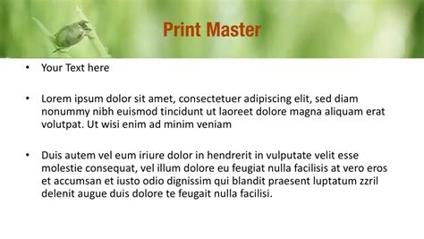 Ladybug On Leaf Powerpoint Templates Ladybug On Leaf Powerpoint