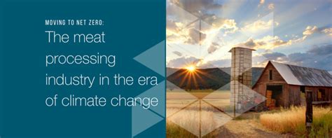 Net Zero And Meat Processing Industry