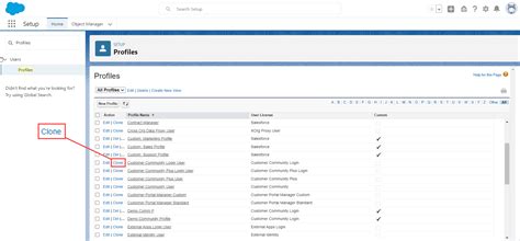 Profile In Salesforce Create Profile In Salesforce