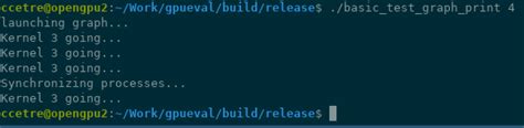 [hip graph] issue when using a kernel from different graphs · issue