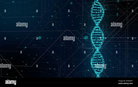 Dna Deoxyribonucleic Acid Molecule Conceptual Illustration Stock
