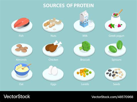 D Isometric Flat Conceptual Royalty Free Vector Image