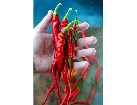 Agroinfo Medijski Portal