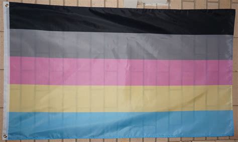 Polygender Pride Flag 3 X 5 Pridepoint