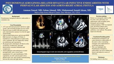 Pdf Pseudomonas Aeruginosa Related Bivalvular Infective Endocarditis With Perivalvular Abscess