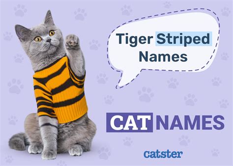 200 Tiger Striped Cat Names Ideas For Unique And Exotic Cats Catster